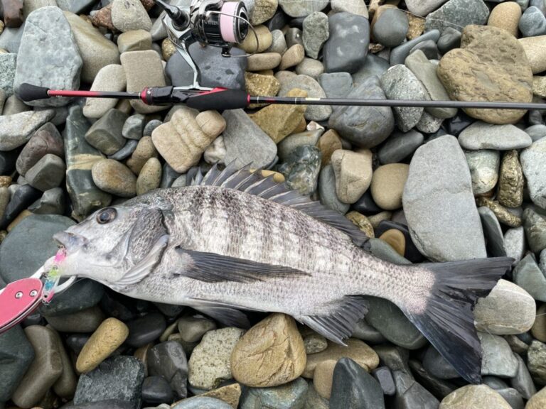 ダイワ 22月下美人EXを徹底インプレ！【68L-T・Q】 | まるなか大衆鮮魚