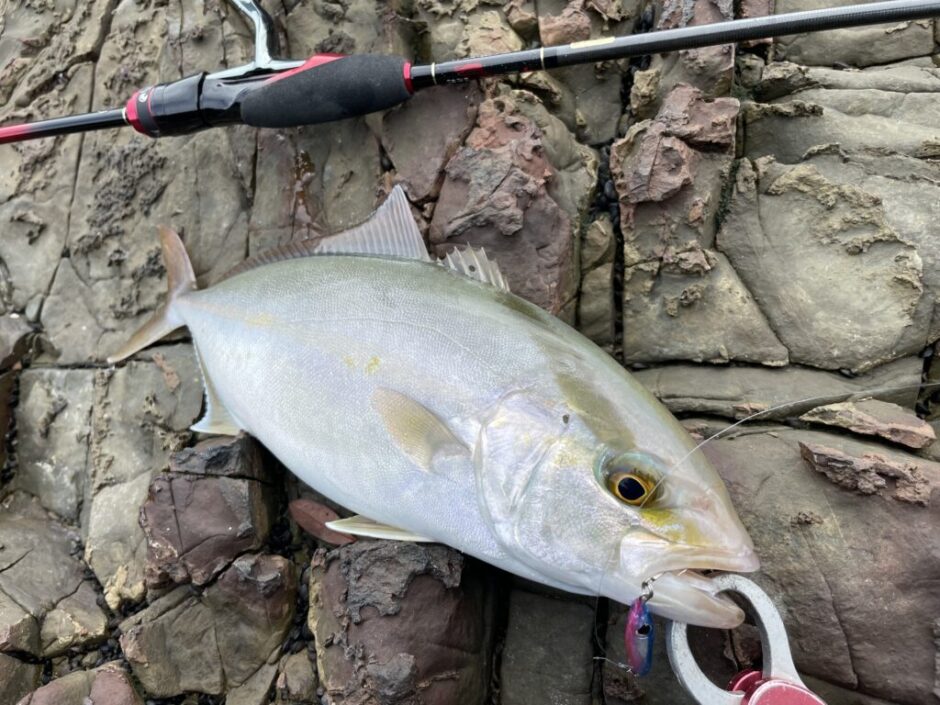 ダイワ 22月下美人EXを徹底インプレ！【68L-T・Q】 | まるなか大衆鮮魚