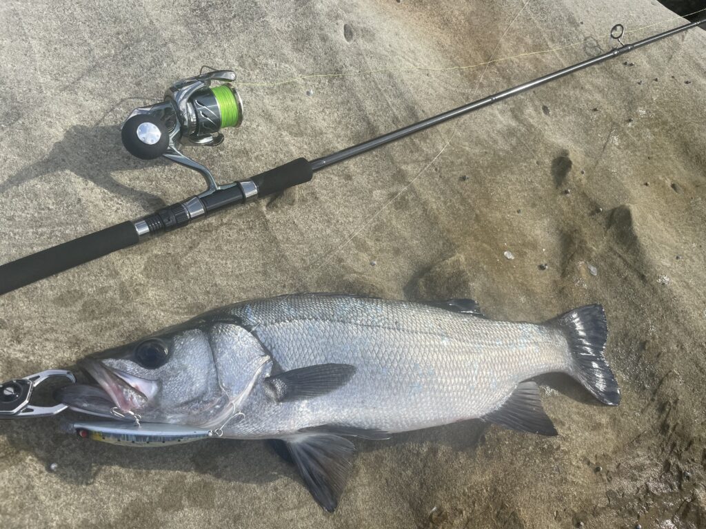 DUEL Tx8を徹底インプレッション！【擦れても切れない】 | まるなか大衆鮮魚